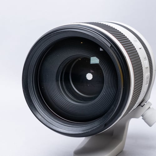 Canon RF 70-200mm f/2.8 Lens w/Hood | GearFocus
